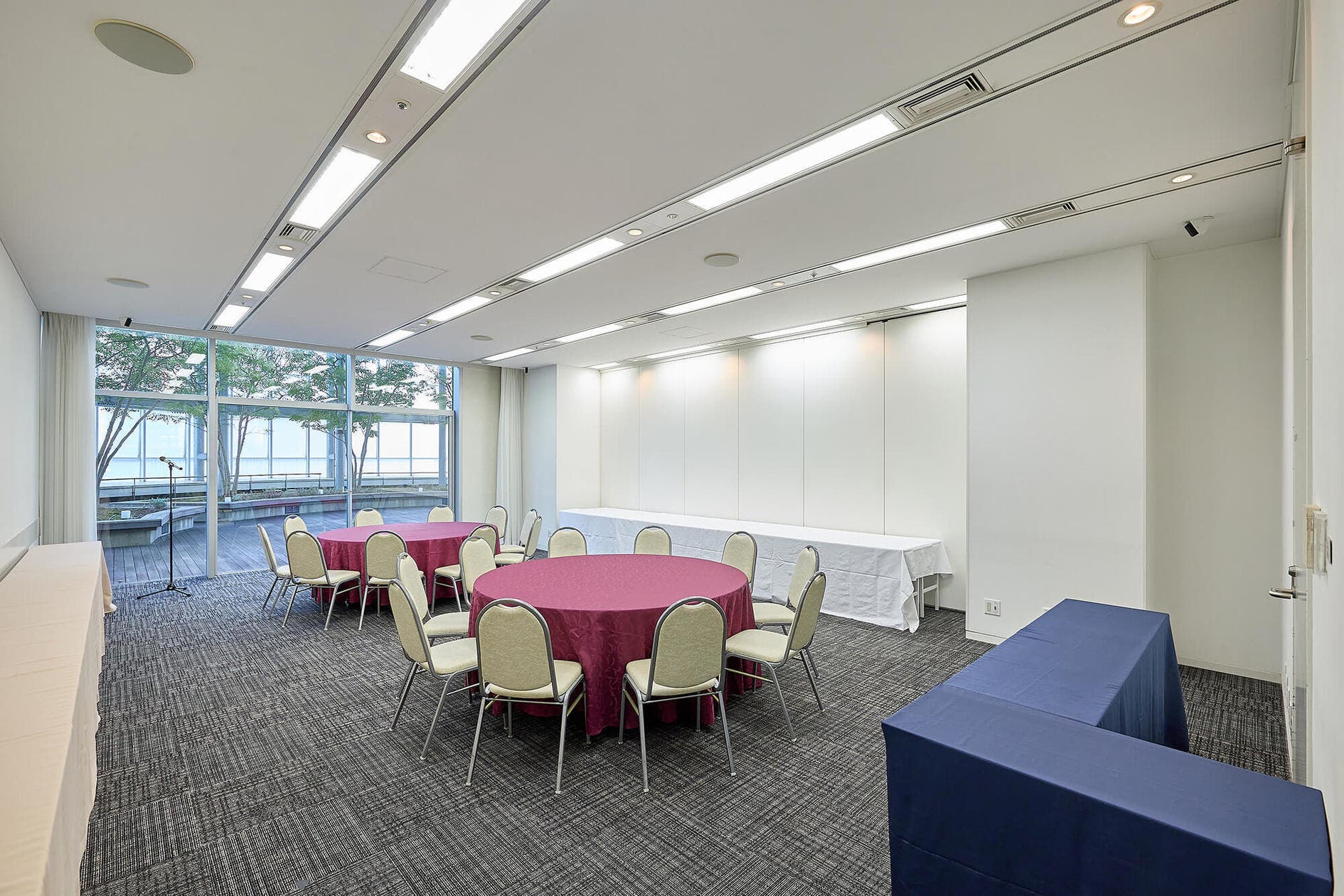 ブリーゼプラザ 801号室 最大48名収容【JR大阪駅に直結！ウインドー越しに屋上庭園や空が見える明るく開放的な会議室】の写真5