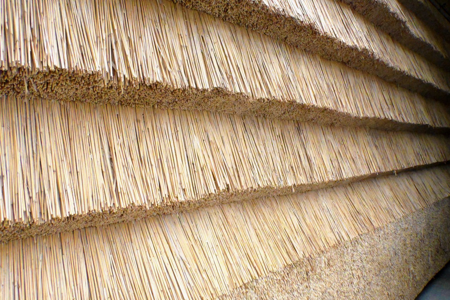 沢山の観光客で賑わっている場所です♪無料駐車場あり★阿蘇・内牧商店街の写真8