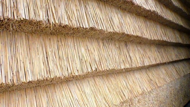 沢山の観光客で賑わっている場所です♪無料駐車場あり★阿蘇・内牧商店街の写真8