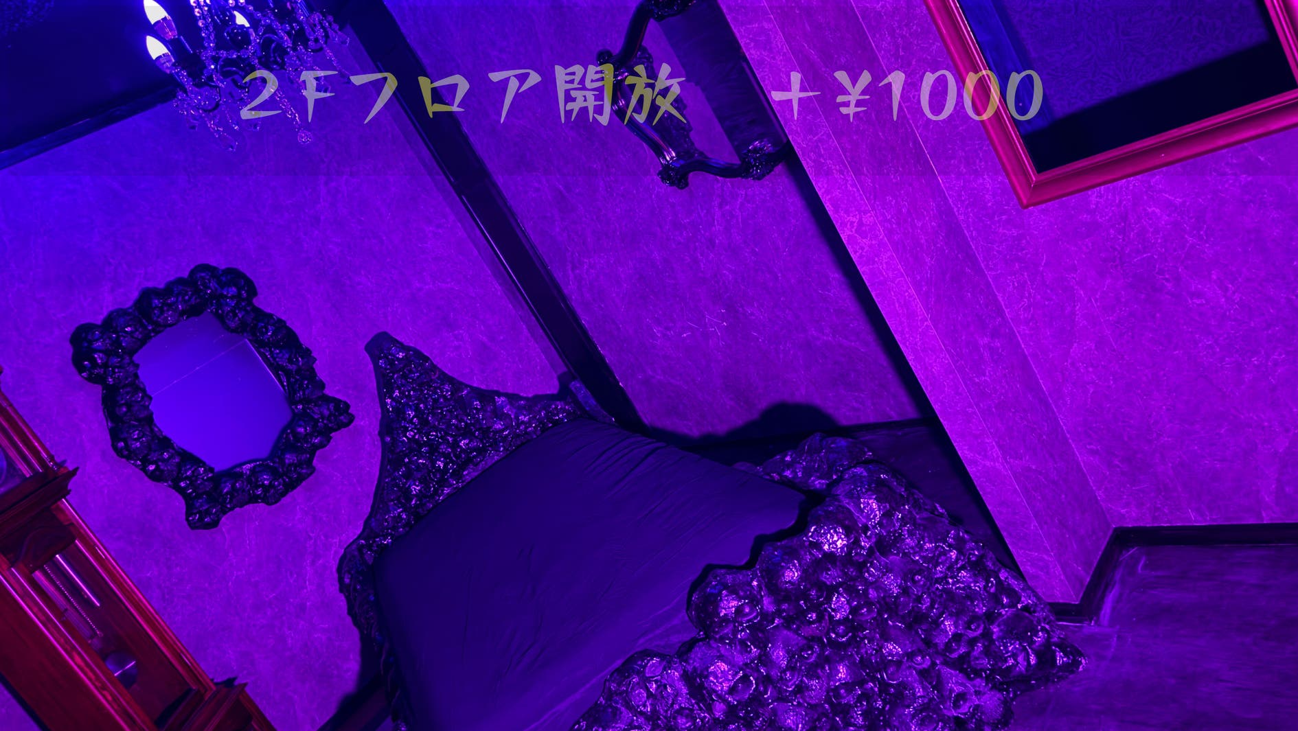 防音構造！前面全身鏡！コスプレ、撮影、ダンスやライブ配信、パーティーなど多種多様な用途に対応！の写真21