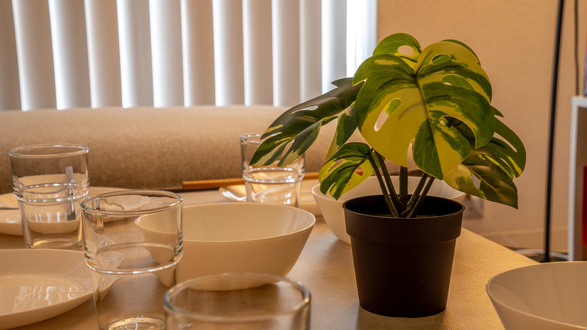 スペモ🏠クリスマス🎄学割🧑‍🎓歓送迎会🎊パーティ🥂女子会💖おうちデート🐈‍⬛映画🎬697_hinna天神3rdの写真27