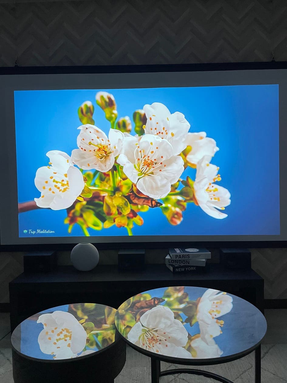 100インチスクリーン＋４Kプロジェクターで大迫力の映画🎞ゲーム🎮推し活🤍贅沢な遊び時間を、大人だけの隠れ家で🖤の写真15