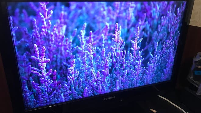 【東京 東陽町駅前】楽しい雰囲気の空間でパーティーやミーティングはいかがでしょうか♪502の写真5