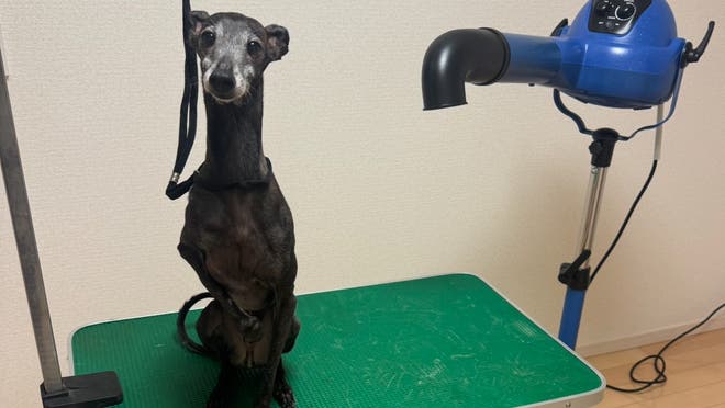 【小岩】駅から車で7分の閑静な住宅街での落ち着いたスペース☆の写真3