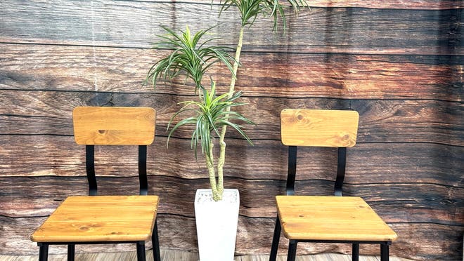 【学芸大学駅から徒歩10分】背景着せ替え自由な生配信(高速光回線)・撮影スタジオ。グリーンバックも対応可。の写真2