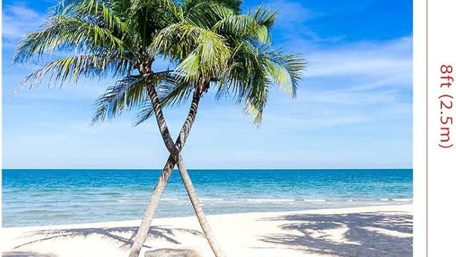 【学芸大学駅から徒歩10分】背景着せ替え自由な生配信(高速光回線)・撮影スタジオ。グリーンバックも対応可。の写真15