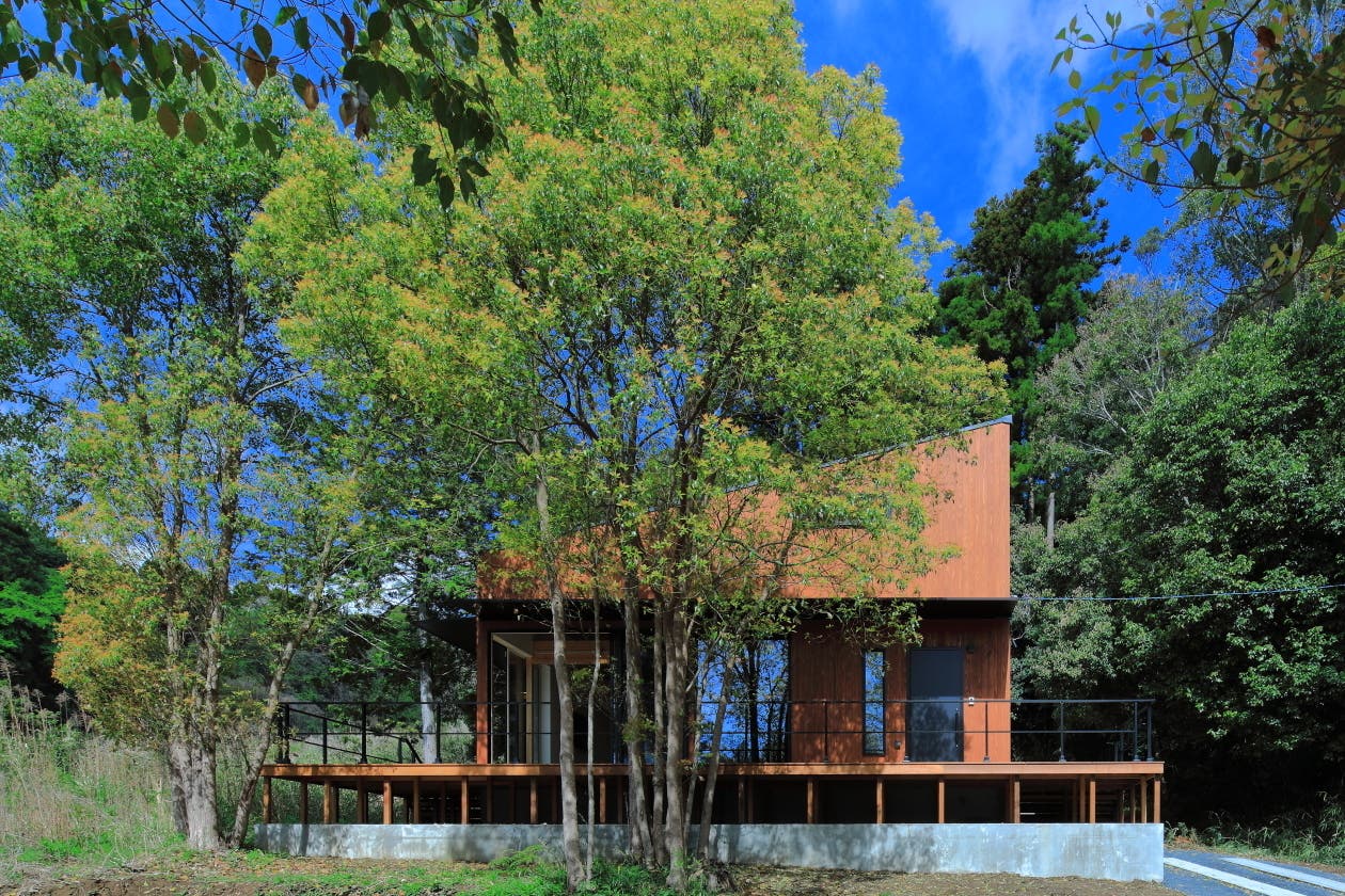 広大な自然と美しい緑に囲まれたVillaとGardenの写真18