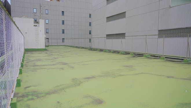 屋上|飯田橋駅徒歩2分学校跡地のレンタルスペース/撮影利用などの写真1