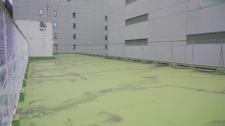 屋上|飯田橋駅徒歩2分学校跡地のレンタルスペース/撮影利用などの写真1