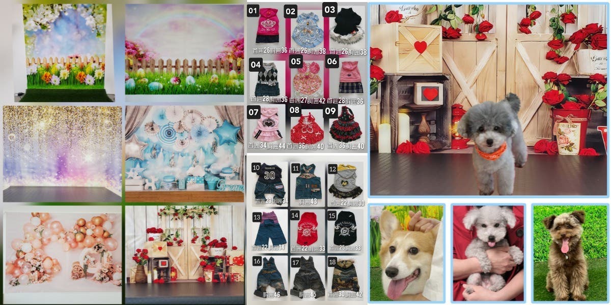 はこプレイス2Ｆ【クリエイティブラボ】会議・セミナー・ペット撮影・オフ会など多種多様にの写真6