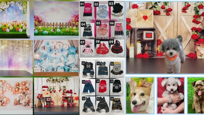 はこプレイス2F【クリエイティブラボ】会議・セミナー・ペット撮影・オフ会など多種多様にの写真6