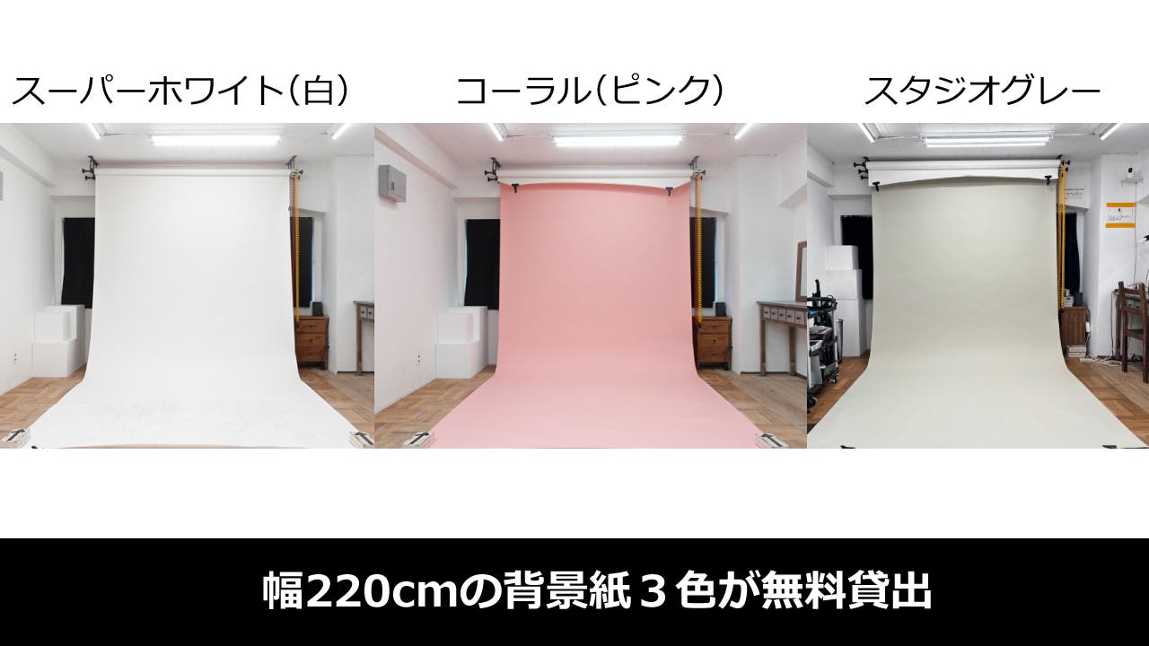 【恵比寿5分】２面採光｜白壁＋フラワーウォール｜撮影機材・背景紙無料【アパレル｜ポートレート】の写真4