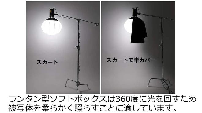 【中野7分】白壁+アーチ+ウッド壁|フルカラーLEDライト+背景紙無料|【人物撮影|ペット可】の写真16