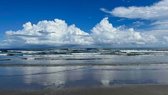 九十九里の海風香る築約100年の古民家みじんこ・旧斎藤邸の写真20