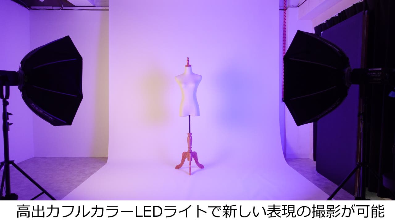 【中野7分】白壁＋アーチ＋ウッド壁｜フルカラーLEDライト＋背景紙無料｜【人物撮影｜ペット可】の写真4