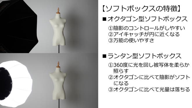 【中野7分】白壁+アーチ+ウッド壁|フルカラーLEDライト+背景紙無料|【人物撮影|ペット可】の写真15