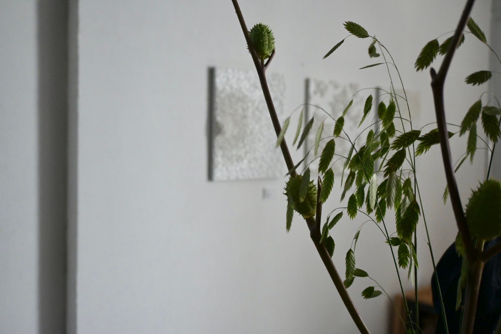 狸小路8丁目にある隠れ家セレクトショップの写真1