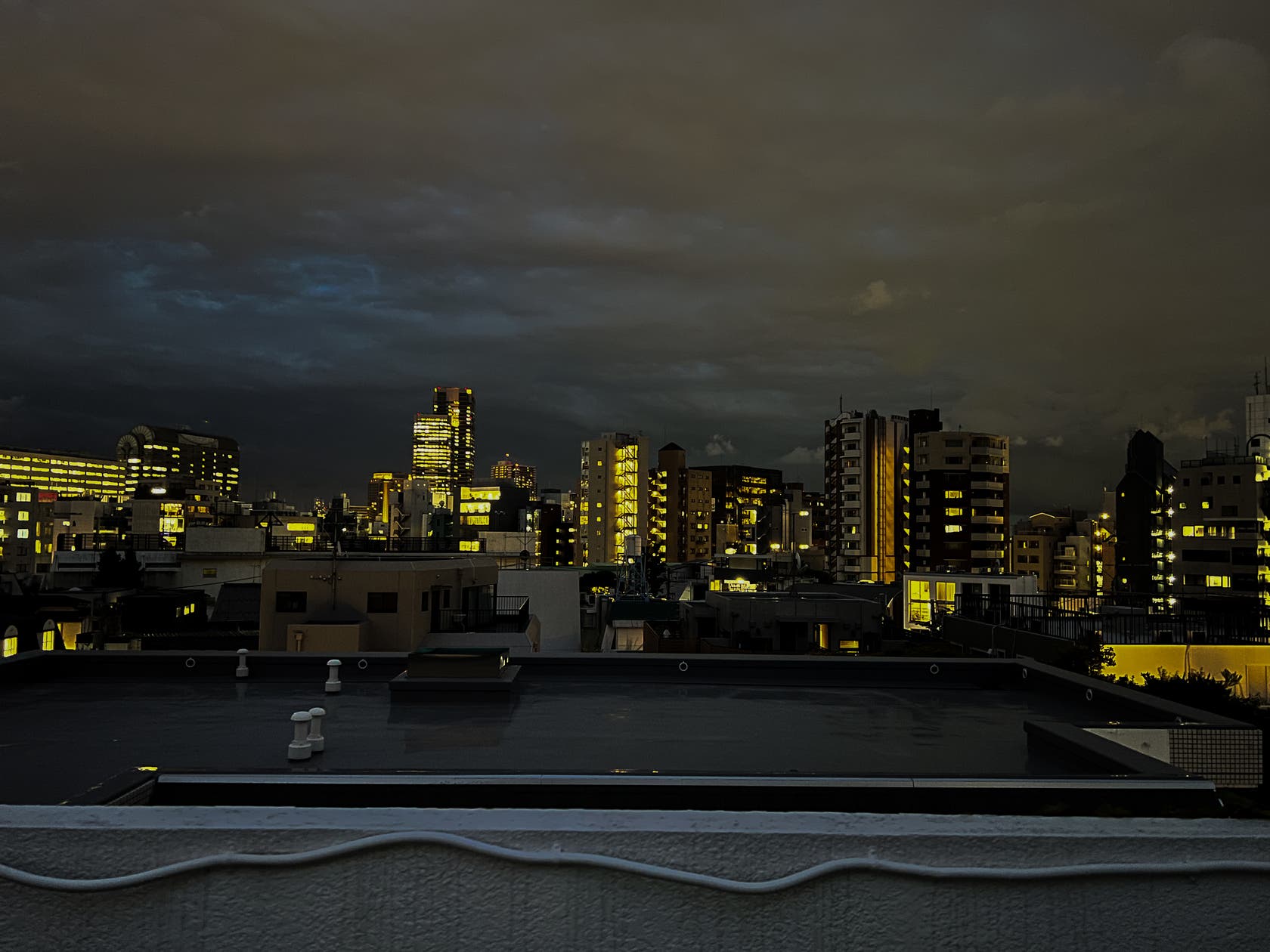 ☀️NEW OPEN☀️｜ポートレート｜各種撮影｜開放的な空間｜ドッグランの写真4