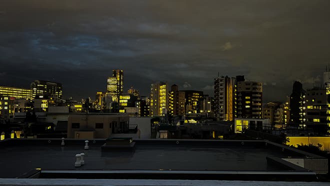 ☀️NEW OPEN☀️|ポートレート|各種撮影|開放的な空間|ドッグランの写真4