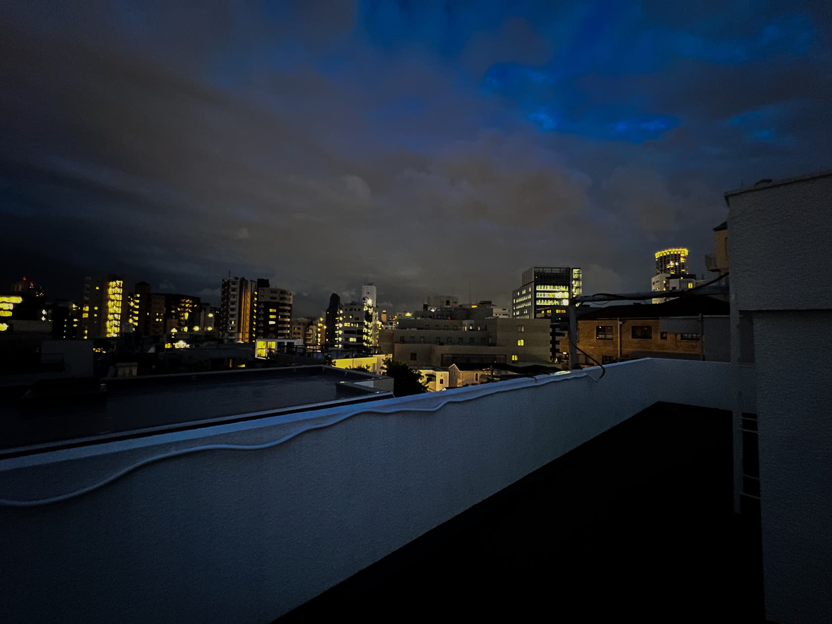 ☀️NEW OPEN☀️｜ポートレート｜各種撮影｜開放的な空間｜ドッグランの写真12