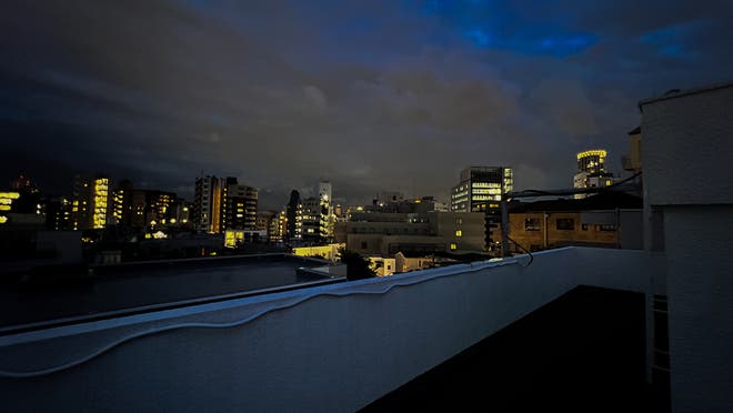 ☀️NEW OPEN☀️|ポートレート|各種撮影|開放的な空間|ドッグランの写真12