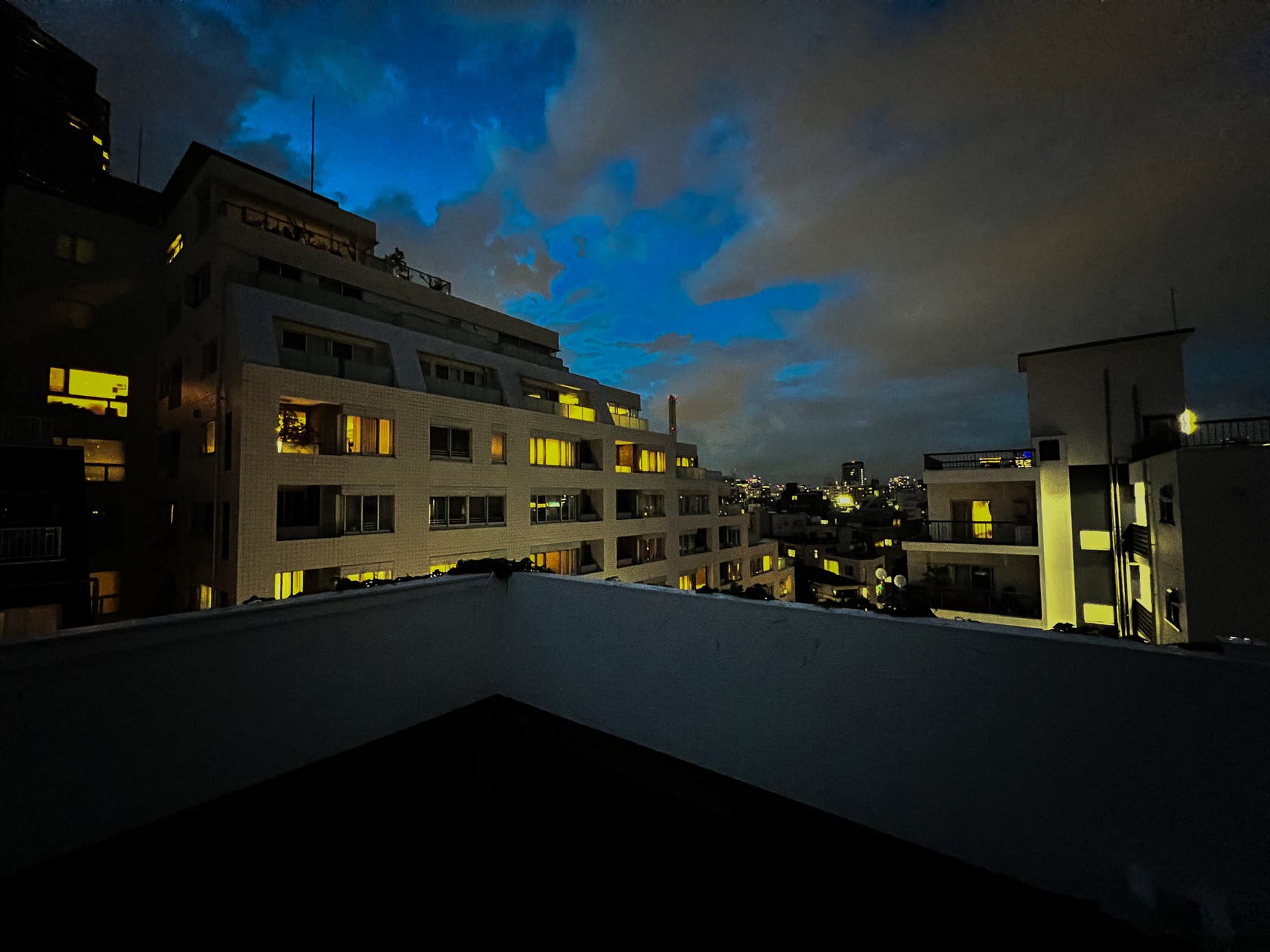 ☀️NEW OPEN☀️｜ポートレート｜各種撮影｜開放的な空間｜ドッグランの写真14