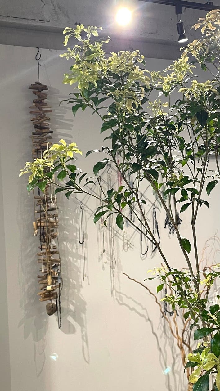 狸小路8丁目にある隠れ家セレクトショップの写真11