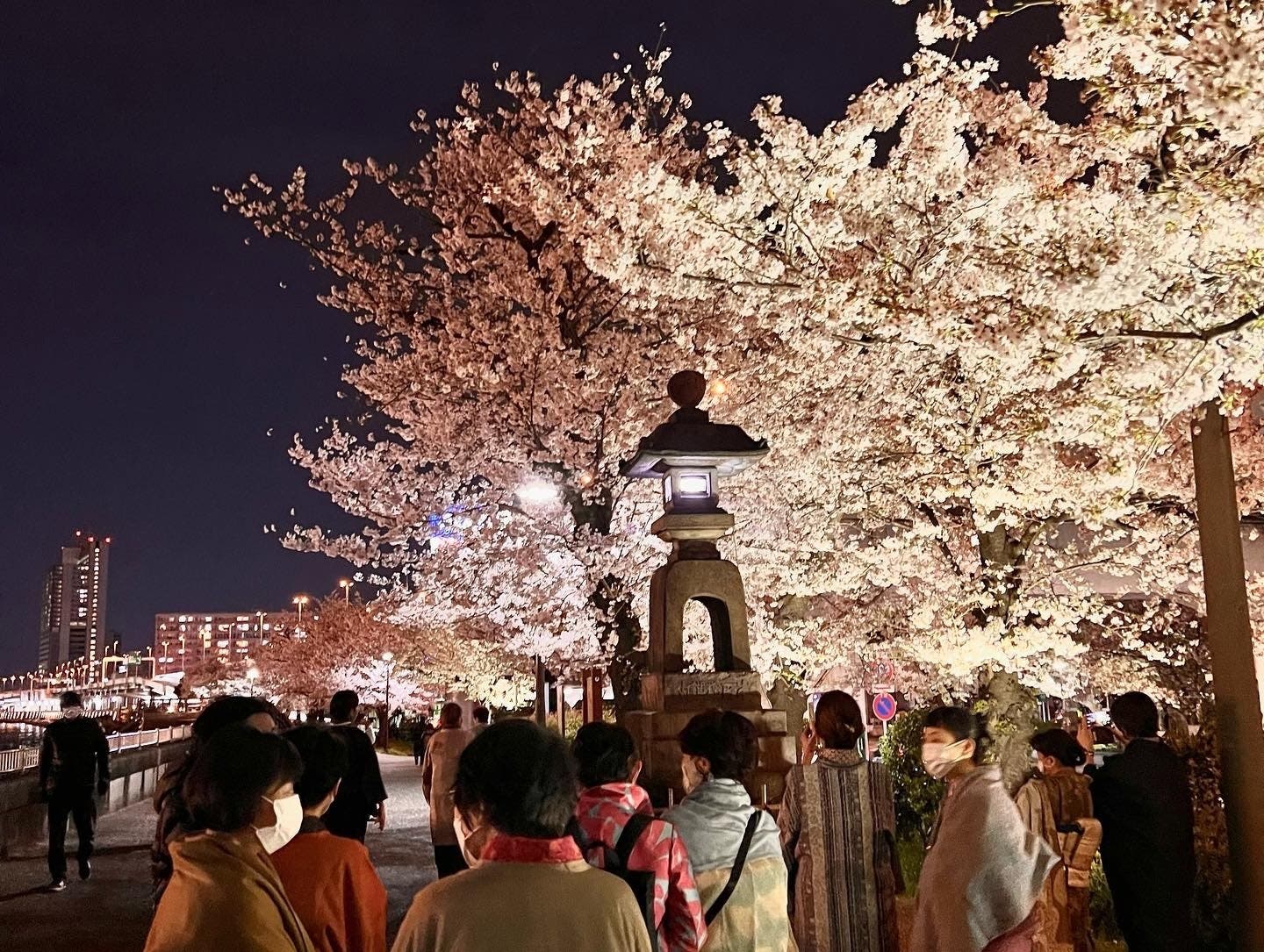 東京スカイツリーの麓にある築10５年の古民家です。浅草から徒歩15分/東京スカイツリーから徒歩1３分】の写真5
