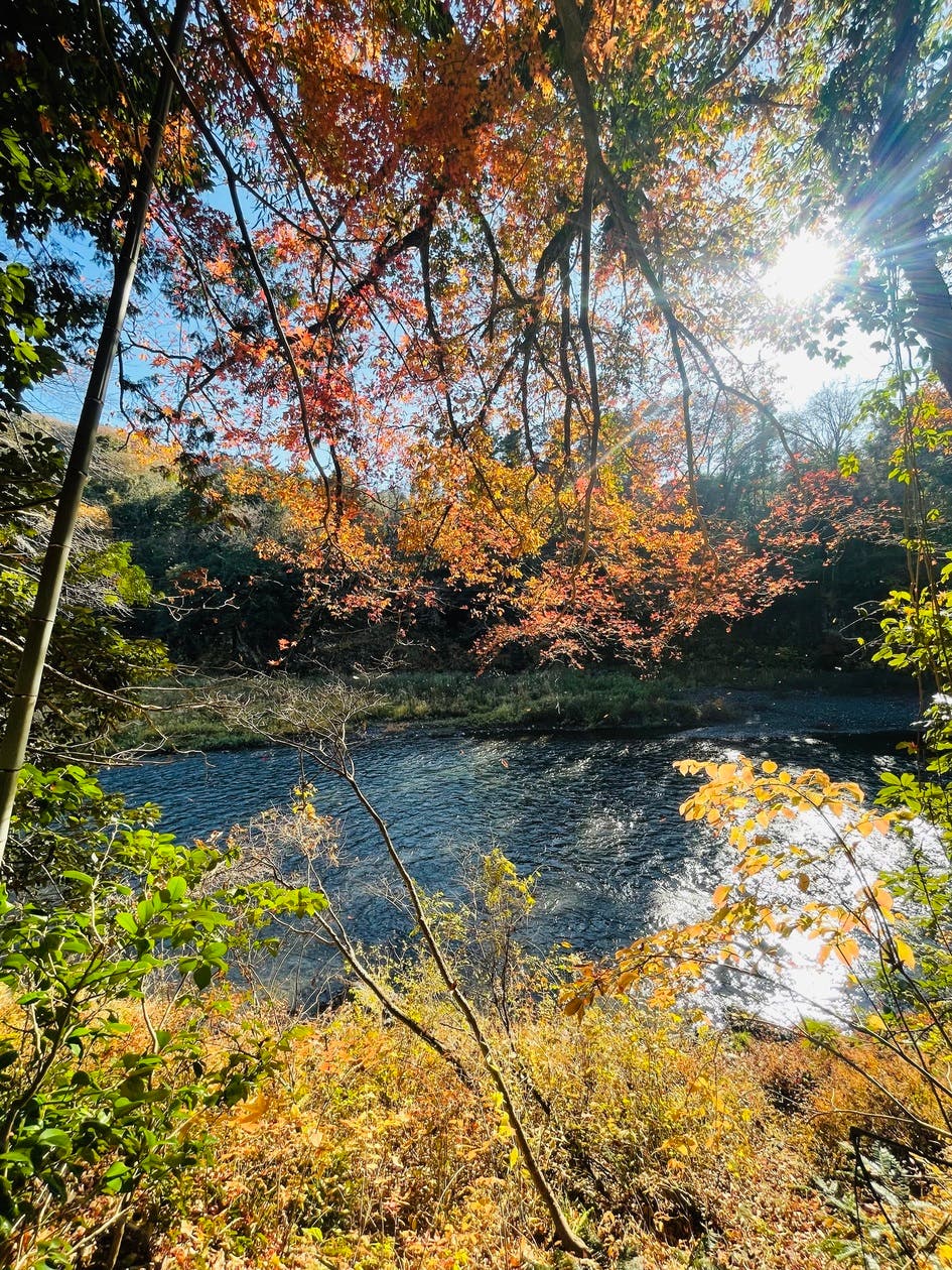 多摩川を見下ろせる半屋外のプライベートスタジオ（飲酒不可）の写真19