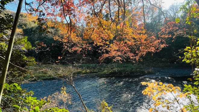 多摩川を見下ろせる半屋外のプライベートスタジオ(飲酒不可)の写真19