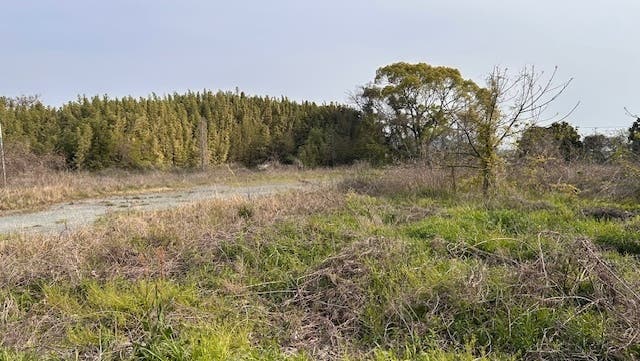 荒廃地【約1000坪】の写真1