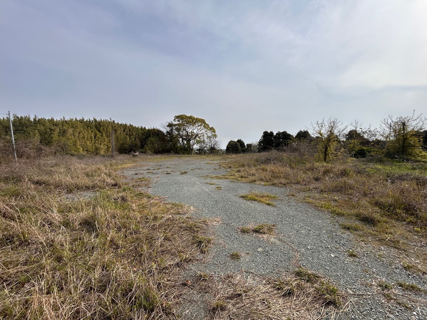 荒廃地【約1000坪】の写真2