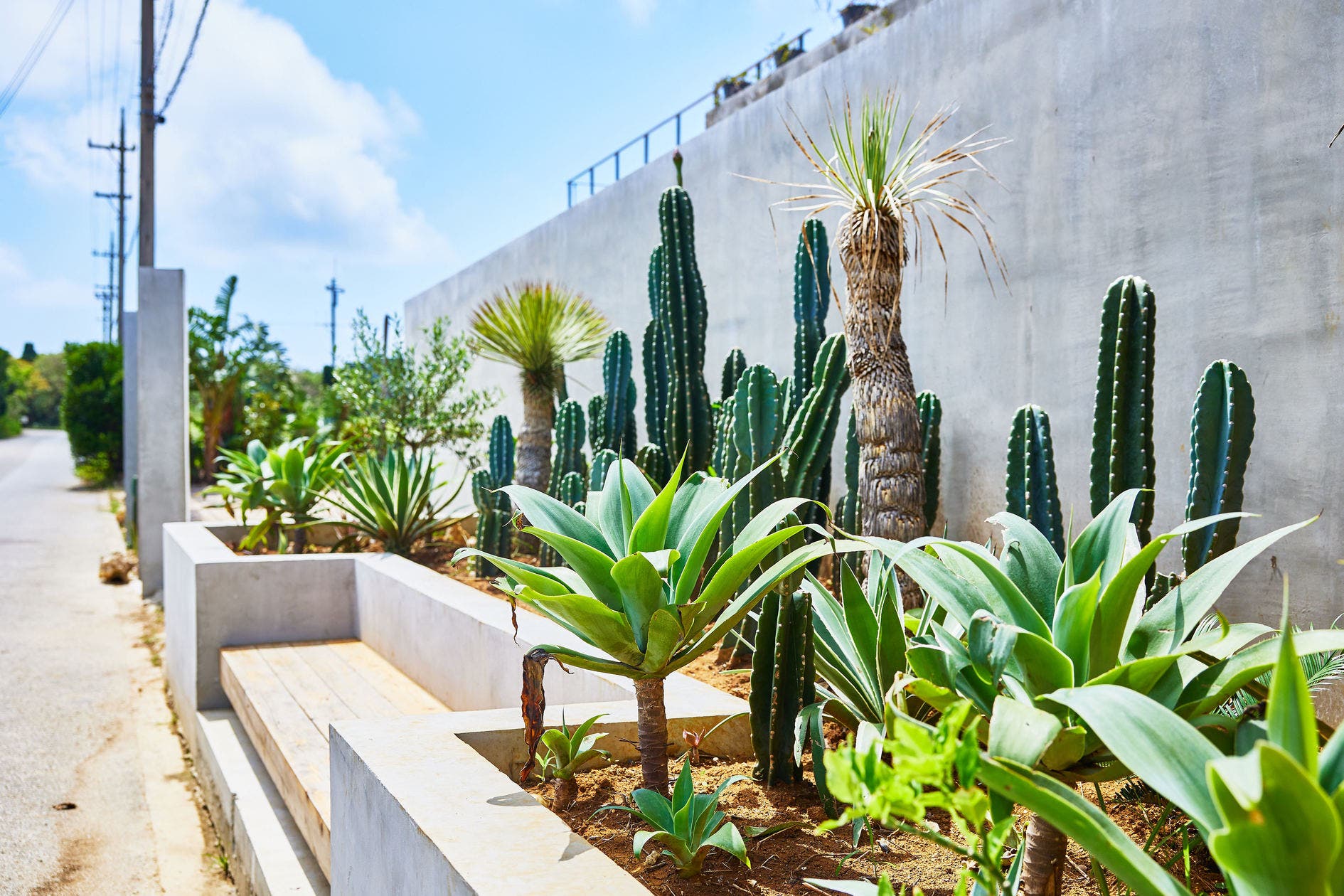 さまざまなクリエイティブなアーティスト達が集う場所。の写真6