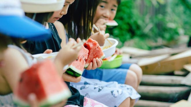森に囲まれた隠れ家空間の写真3