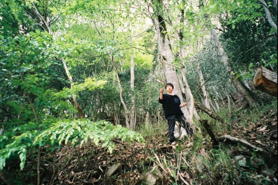 森に囲まれた隠れ家空間の写真5