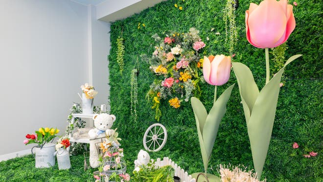 クリスマスツリー🎄4ブースで撮れ高たくさん📸三ノ宮徒歩6分🚶♂️77㎡広々パーティもできる🧸クマ沢山映え撮影スタジオの写真10