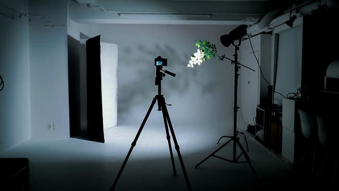 青山一丁目駅&乃木坂駅より徒歩5分。ロープライスで気軽に使えるセルフ型の本格白Rホリスタジオ!の写真4