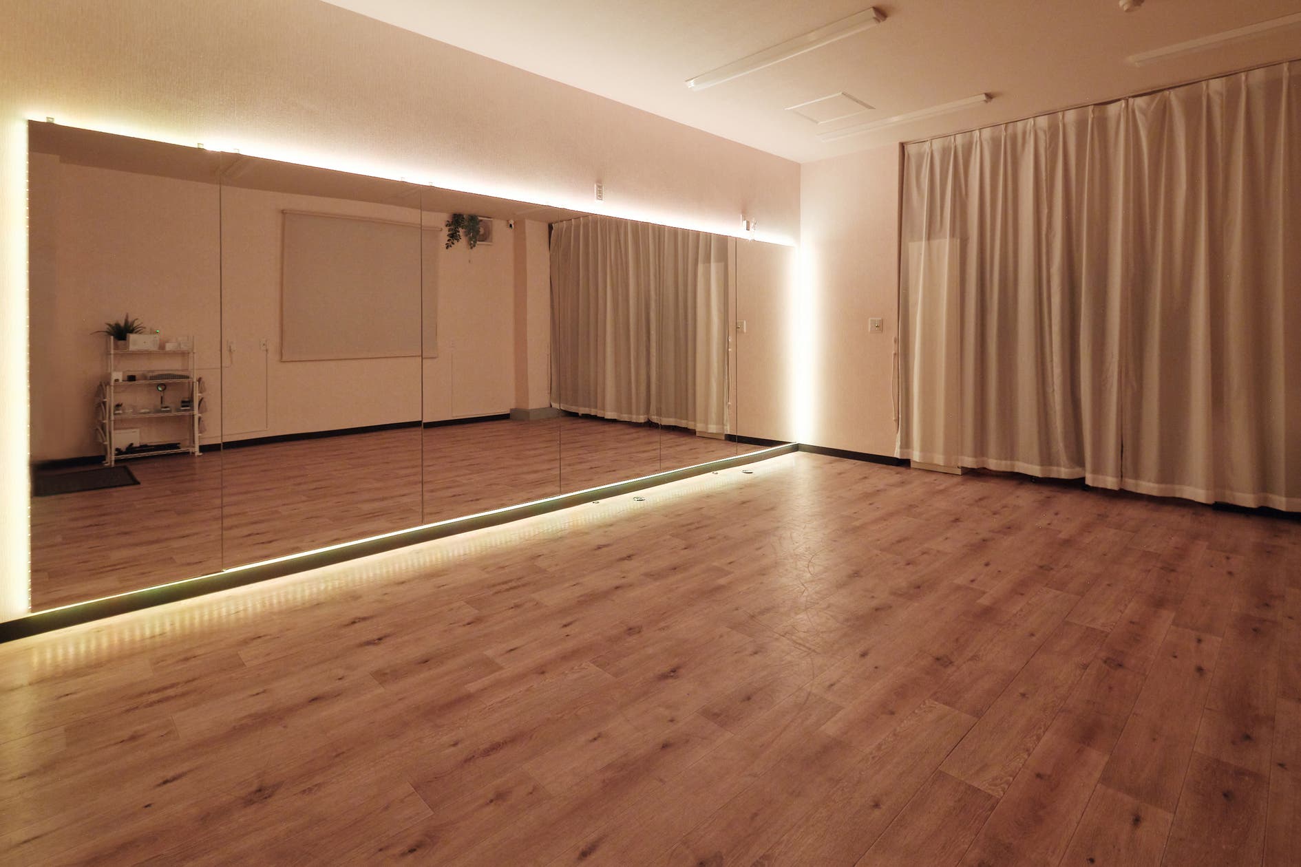 【無料】ミラーライトの画像1