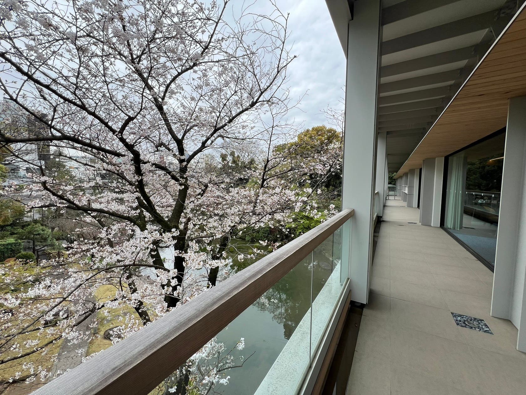 東郷記念館 3F 「聚洸」の写真6