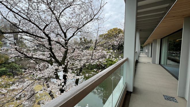 東郷記念館 3F 「聚洸」の写真6