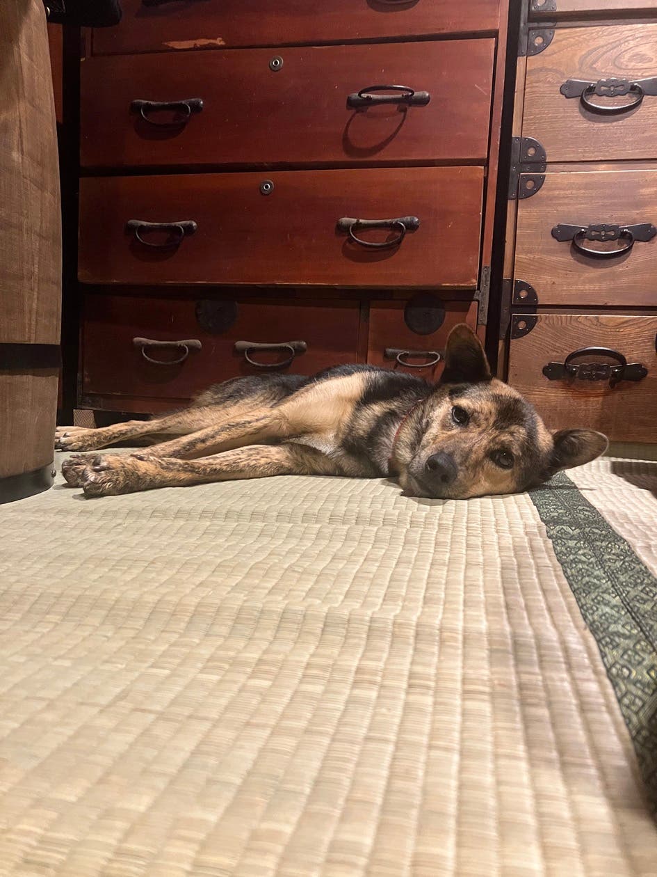 中央アルプスの景色が最高なスペースの写真5