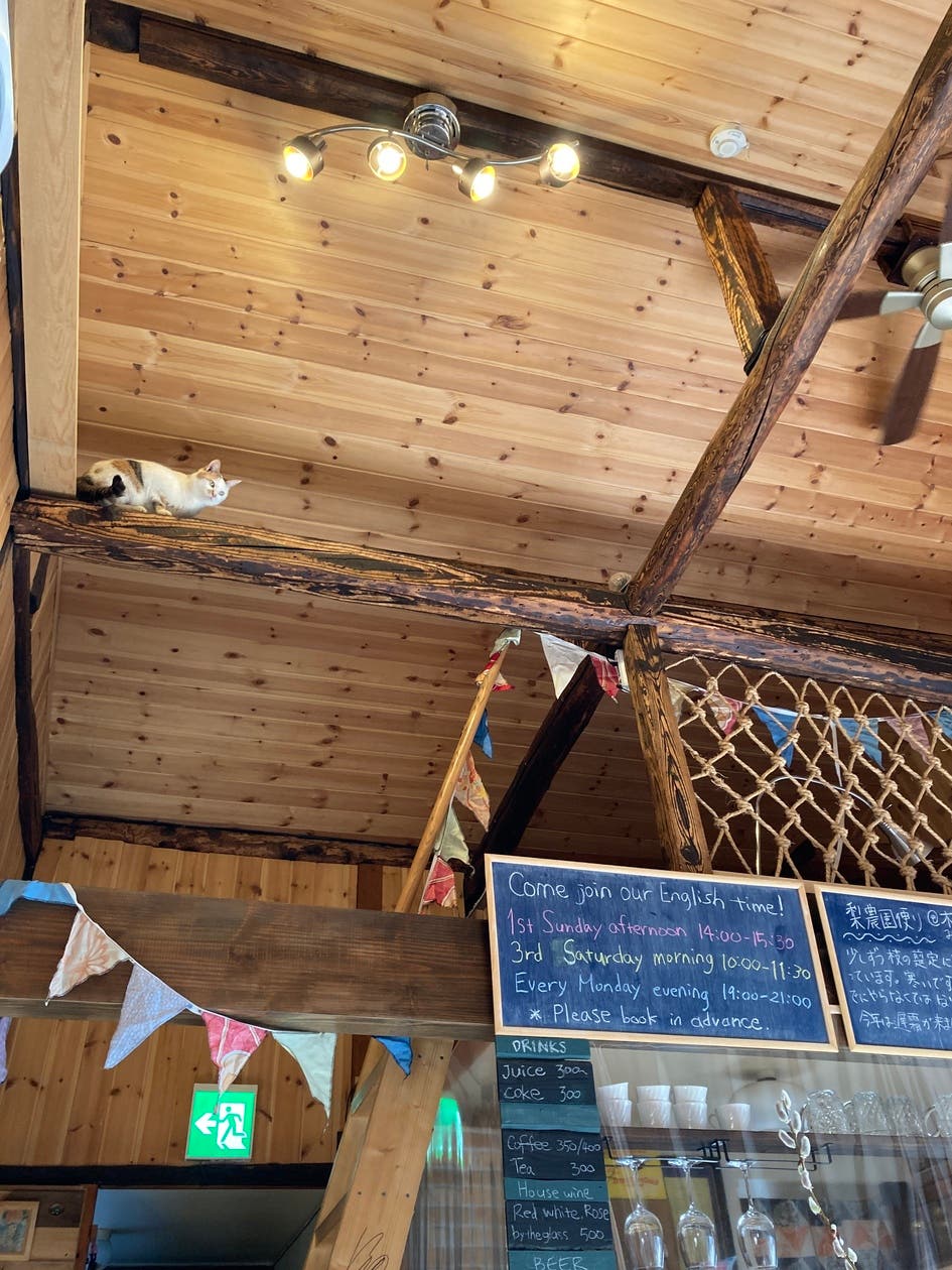 中央アルプスの景色が最高なスペースの写真6