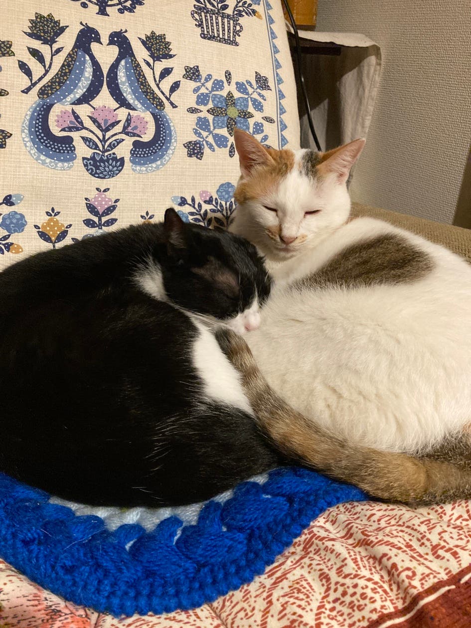 中央アルプスの景色が最高なスペースの写真10