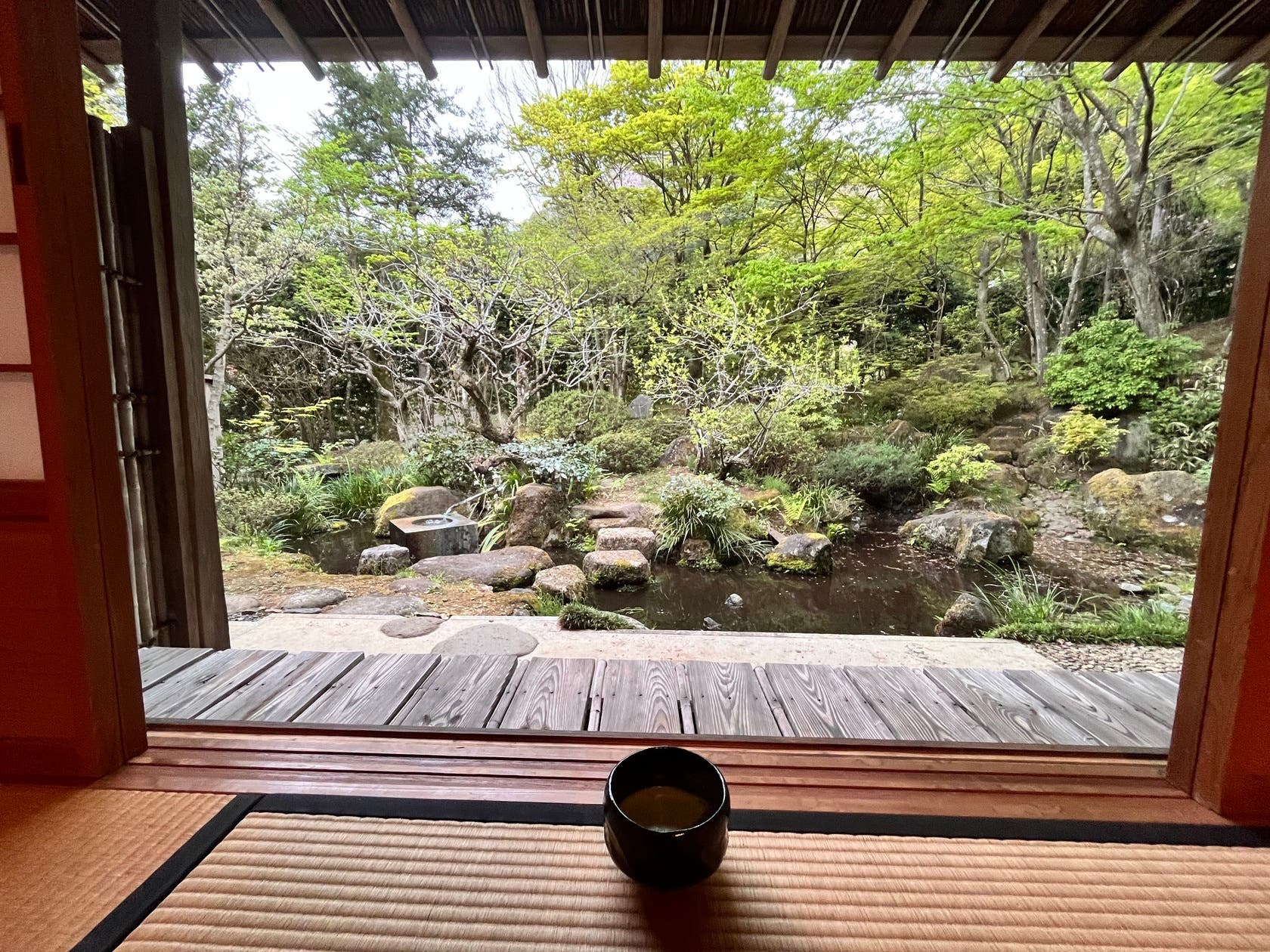 800坪の日本庭園と数寄屋造の茶室に遊ぶの写真4