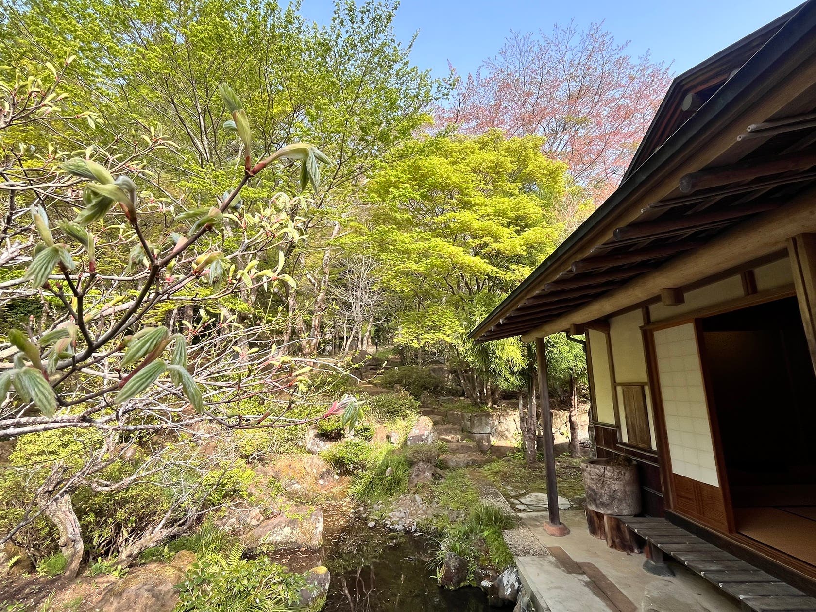 800坪の日本庭園と数寄屋造の茶室に遊ぶの写真7