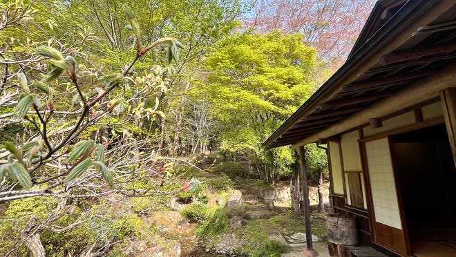 800坪の日本庭園と数寄屋造の茶室に遊ぶの写真7