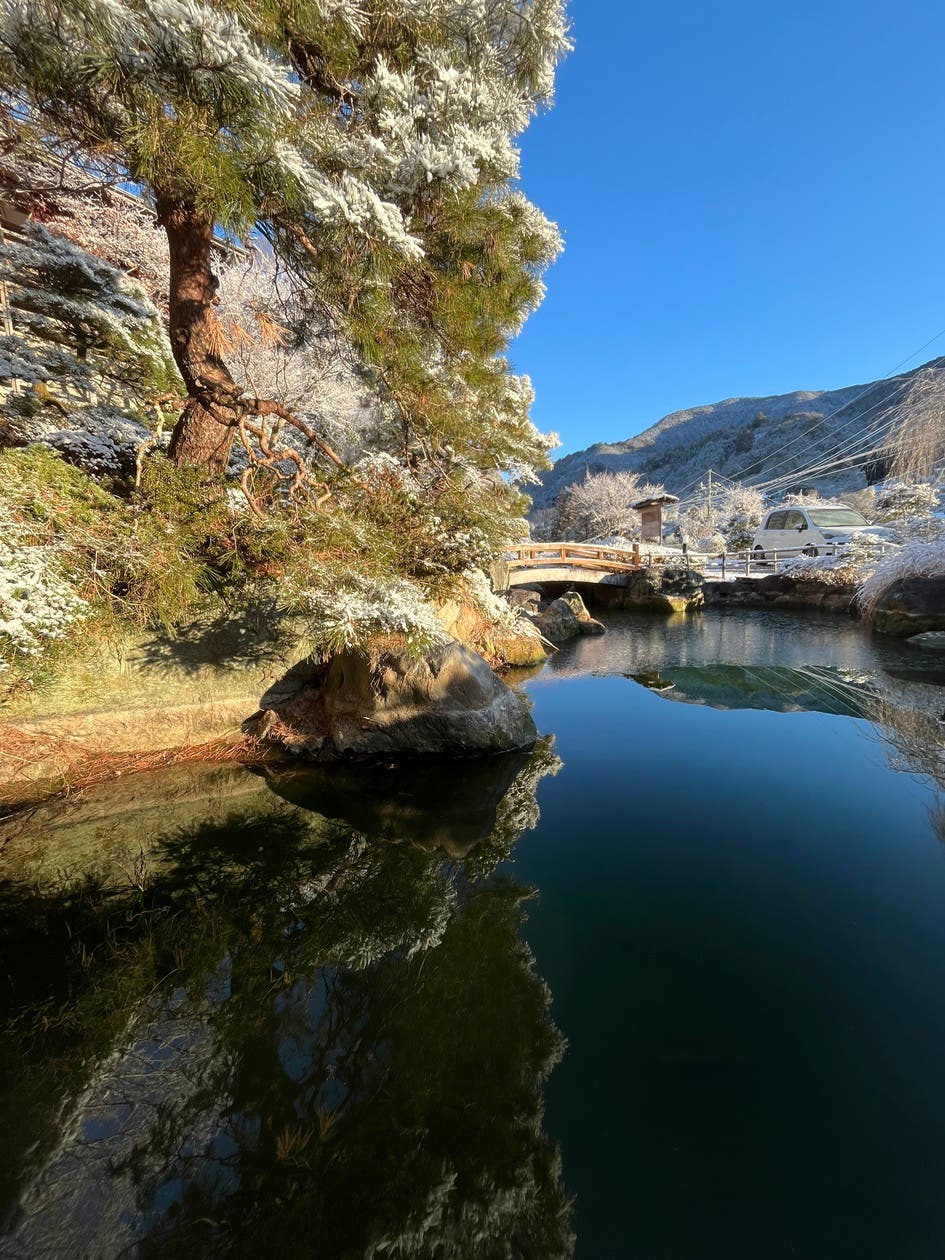 800坪の日本庭園と数寄屋造の茶室に遊ぶの写真11