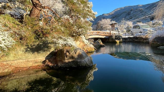 800坪の日本庭園と数寄屋造の茶室に遊ぶの写真11