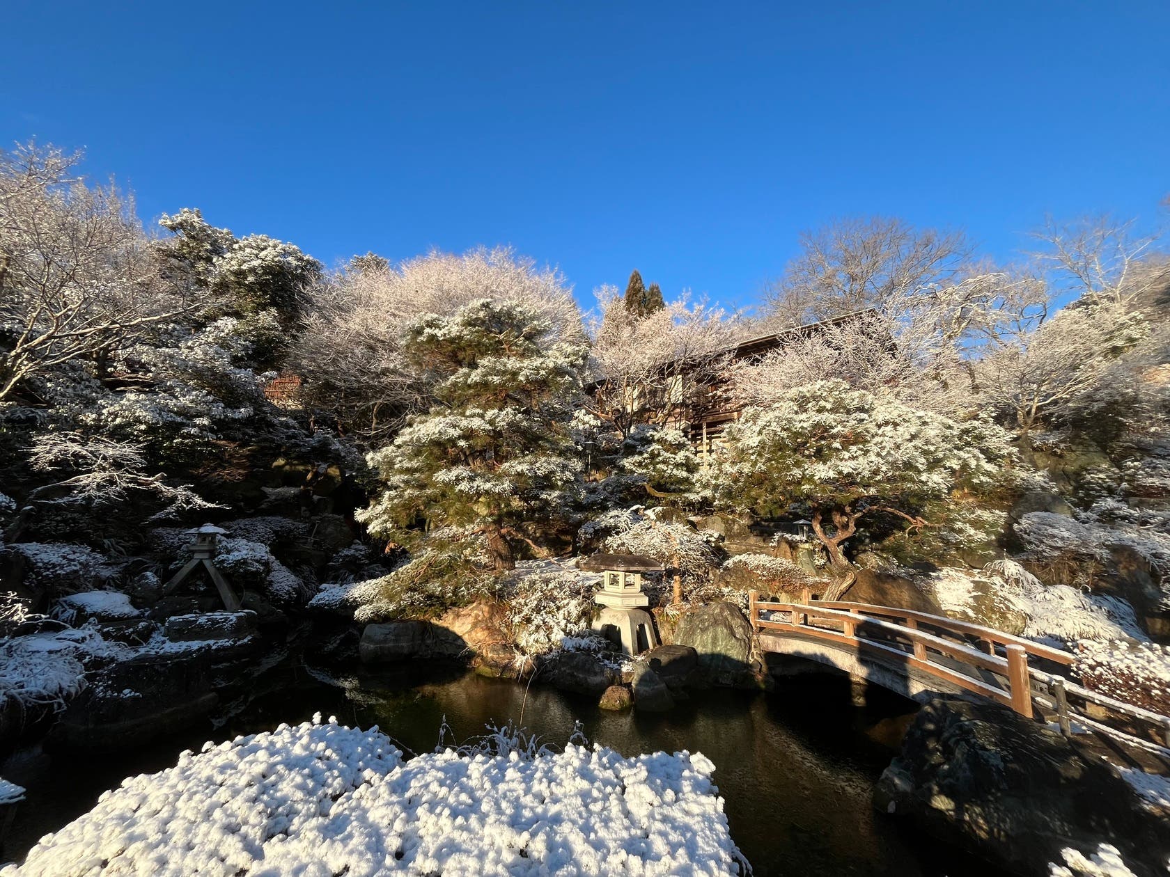 800坪の日本庭園と数寄屋造の茶室に遊ぶの写真12