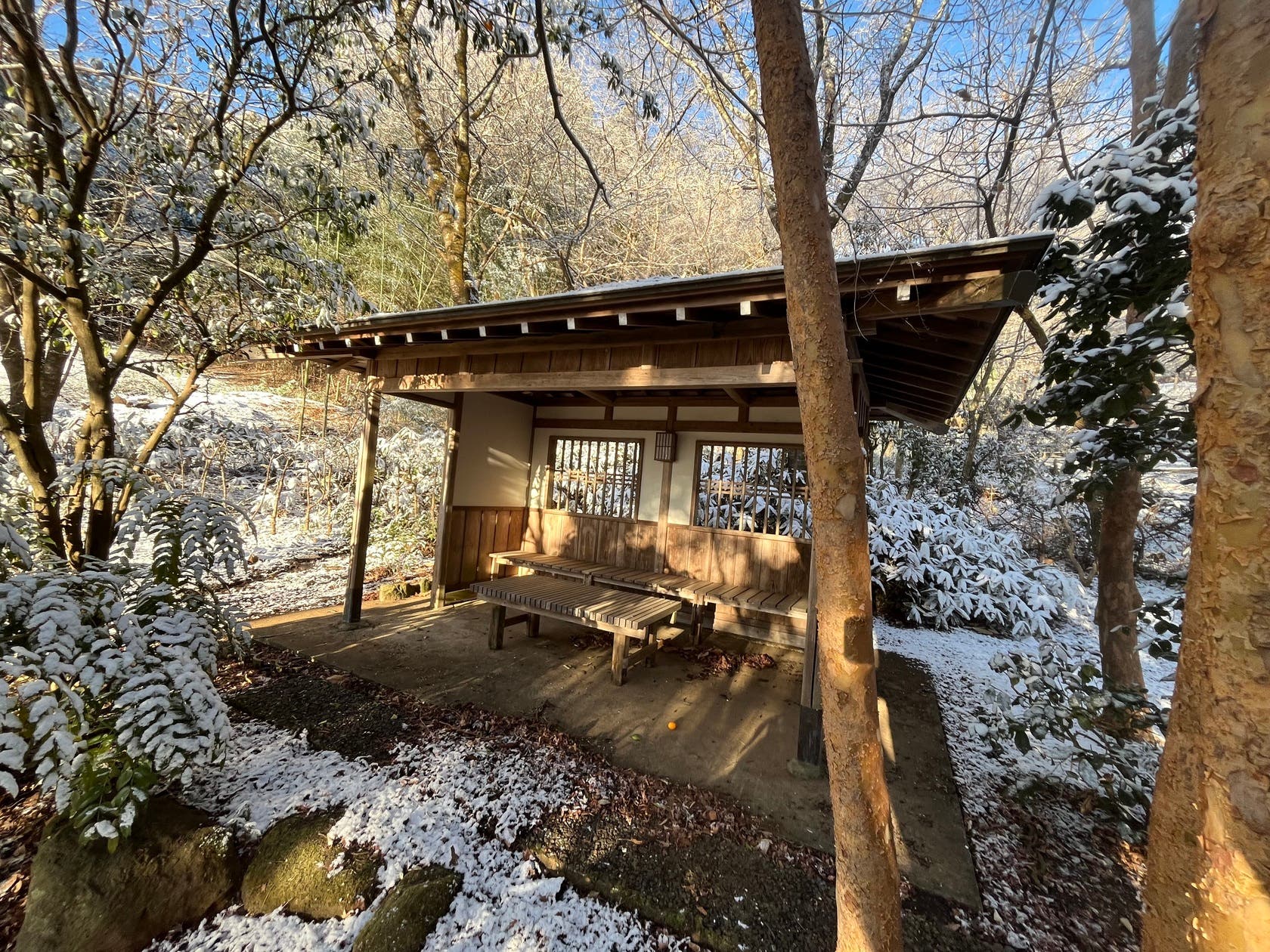 800坪の日本庭園と数寄屋造の茶室に遊ぶの写真13